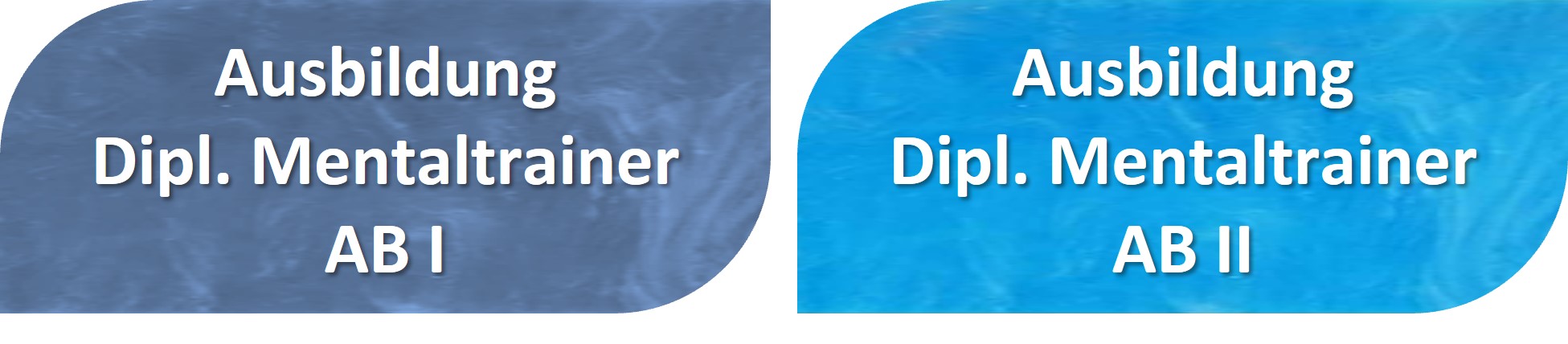 Ausbildung Dipl. Mentaltrainer – Institut LebensArt